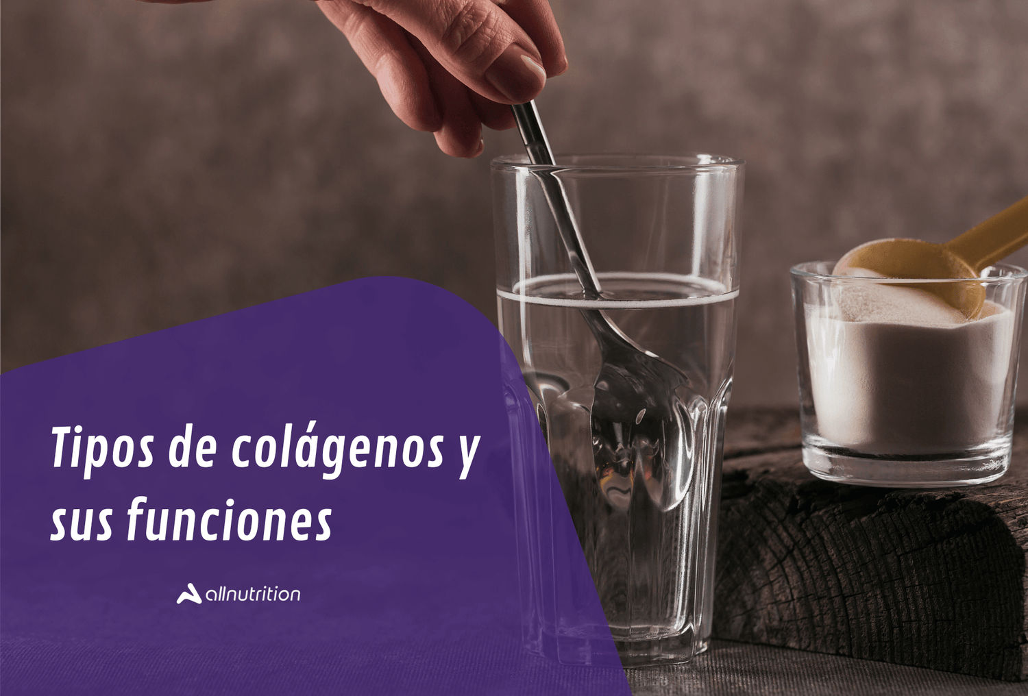 Tipos de Colágeno y sus funciones – All Nutrition